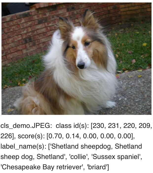 PP-HGNetV2_B6 - 飞桨AI Studio星河社区